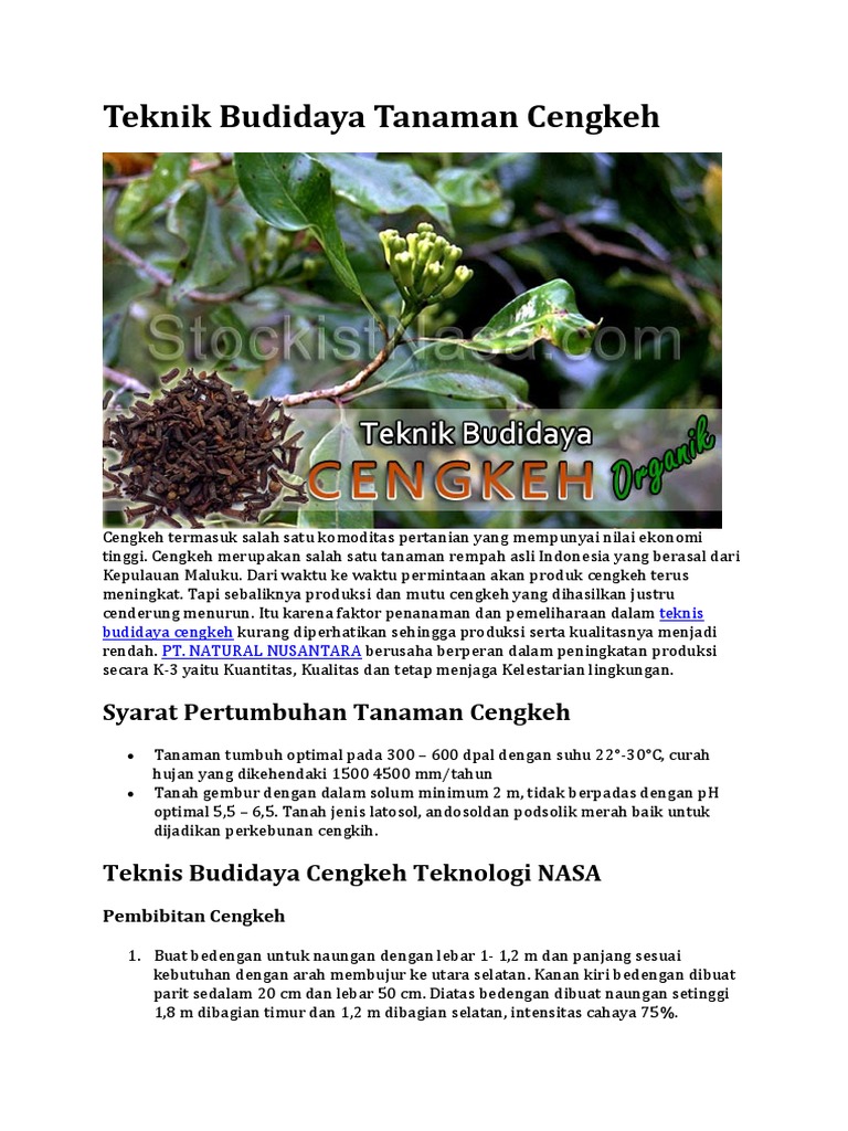 Teknik Budidaya Tanaman Cengkeh - Beserta Pupuk | PDF
