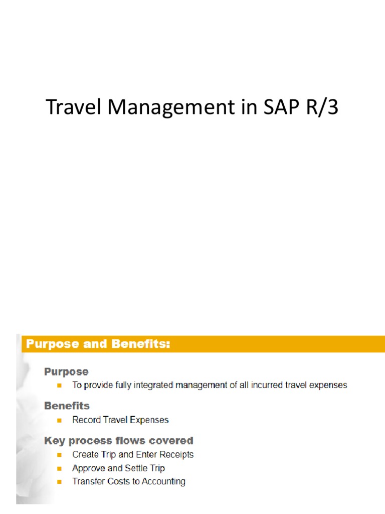 Travel Management in SAP | PDF