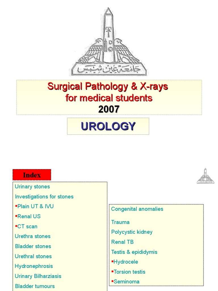 UROLOGY Surgical Pathology & X-Rays | PDF | Kidney | Urinary System