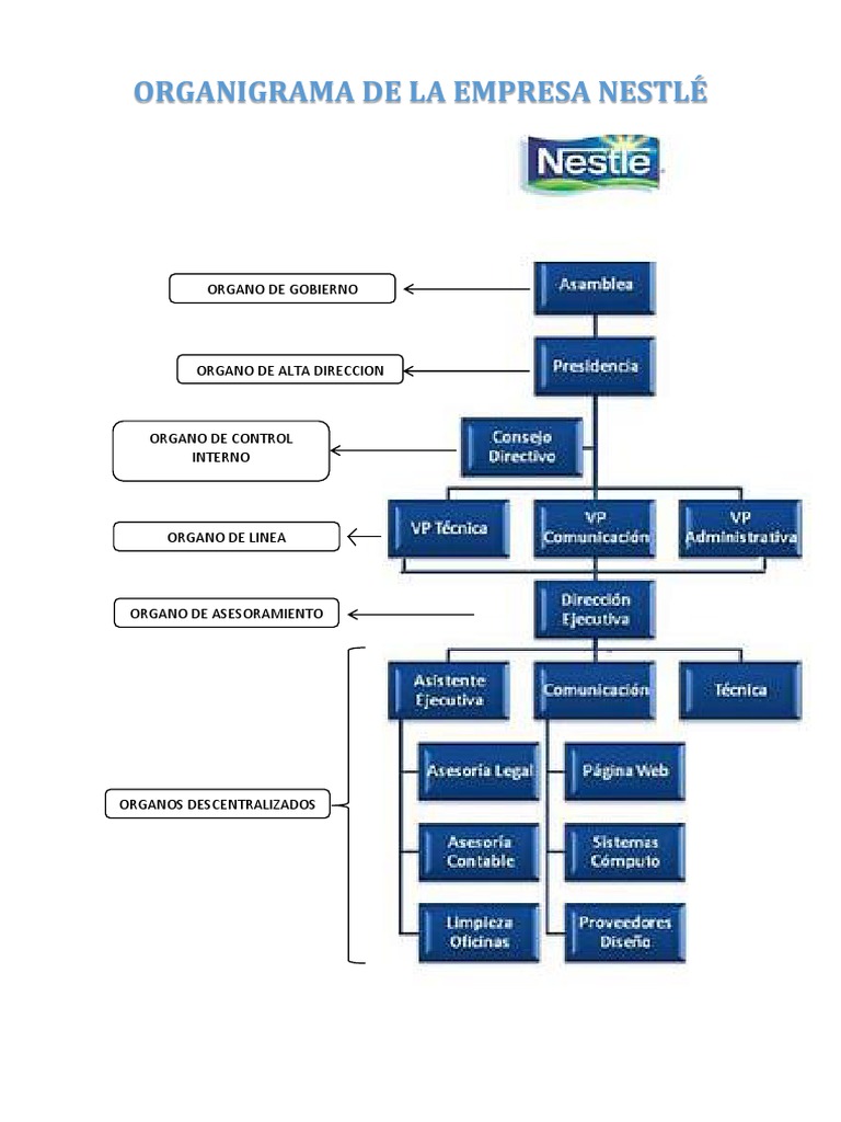 Organigrama Nestlé | PDF | Business