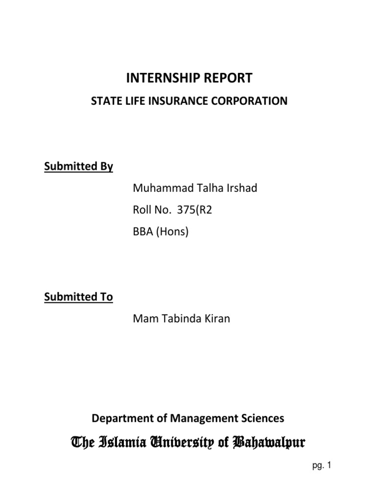 160 Internship Report On Statelife Insurance Corporation | PDF ...