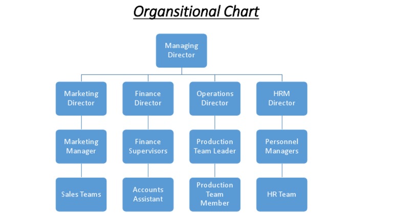 Org Chart | PDF