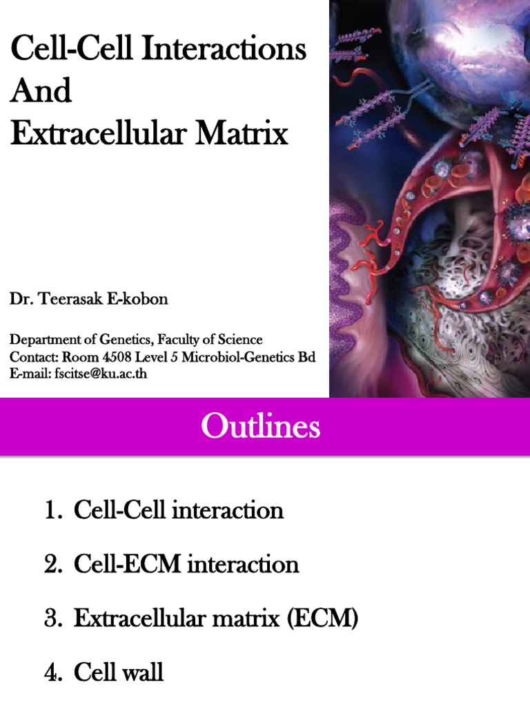 Understanding Cell-Cell and Cell-Matrix Interactions: A Comprehensive ...