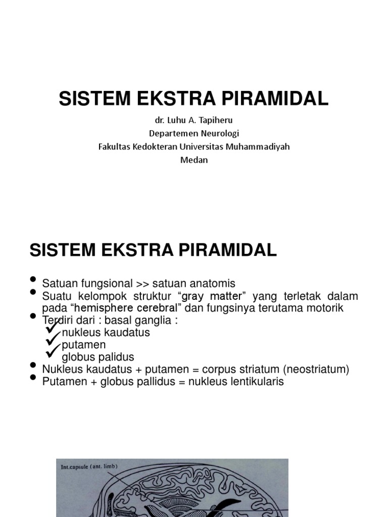 Sistem Ekstra Piramidal | PDF