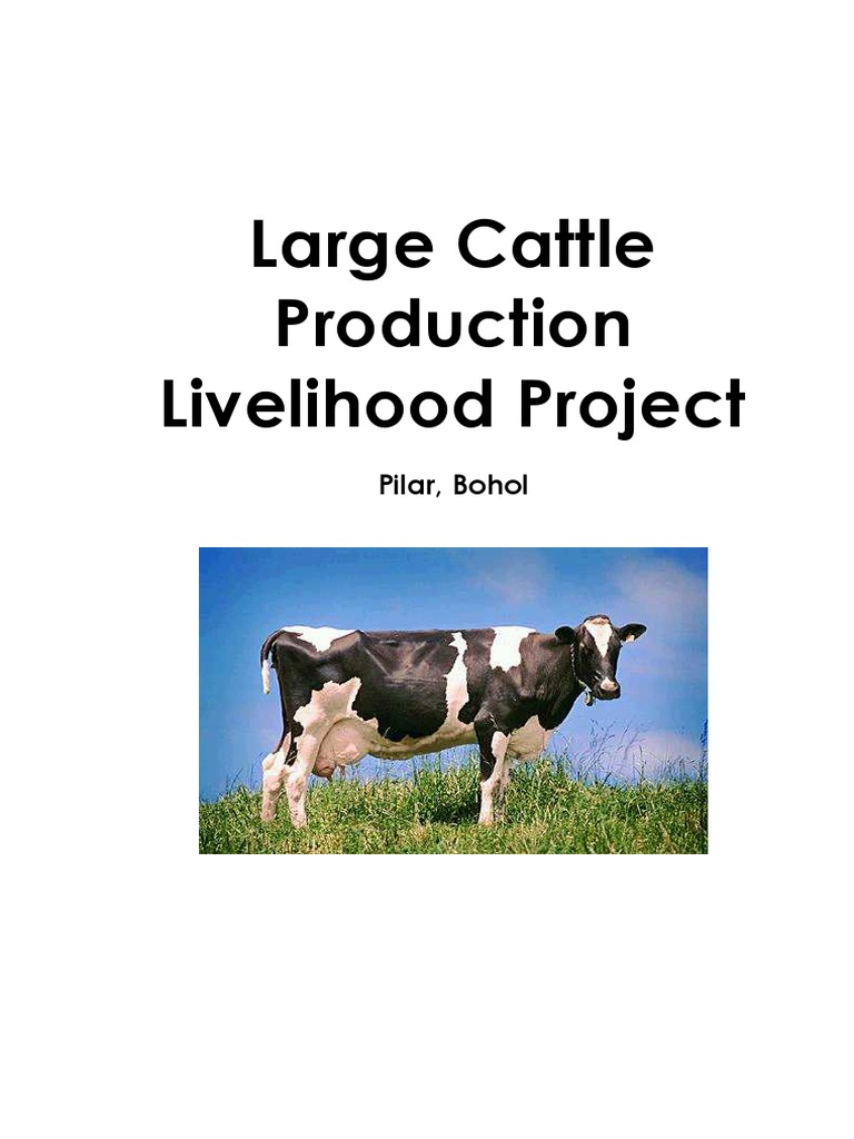 Cattle Livelihood Project in Pilar | PDF | Cattle | Grazing