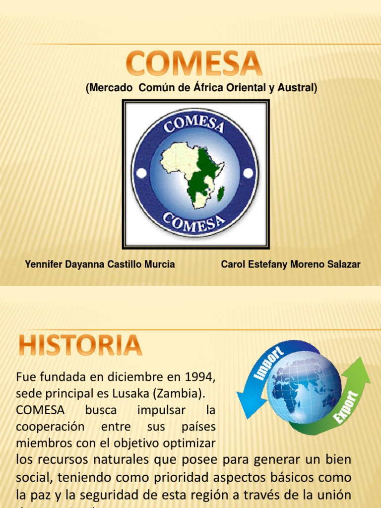 COMESA: Integración y Desafíos Comerciales | PDF | África | Relaciones ...
