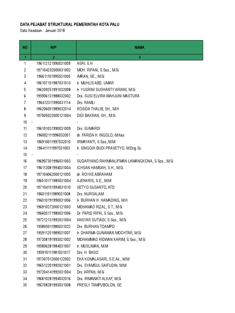 Data Jabatan Struktural | PDF