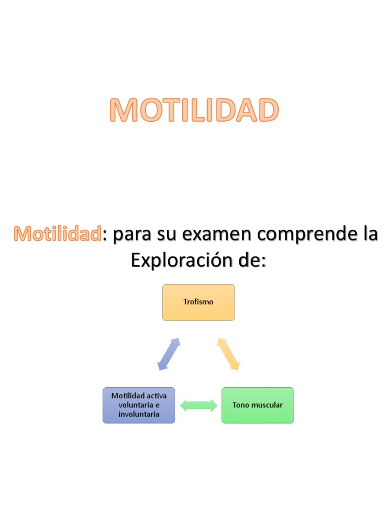Evaluación de Motilidad y Tono Muscular | PDF | Músculo | Ciencia de la ...