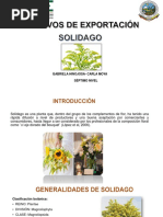 Informe-Germinacion-S. TRIGO | PDF | Siembra | Germinación