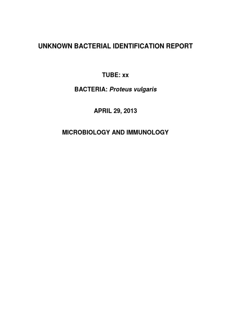 Unknown Bacteria Report | PDF | Blot (Biology) | Elisa