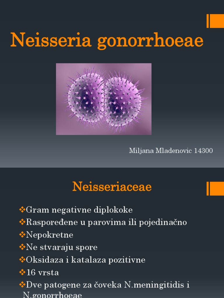 Neisseria Gonorrhoeae | PDF