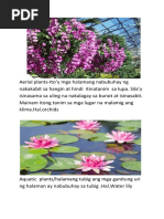 Halamang Dahon | PDF