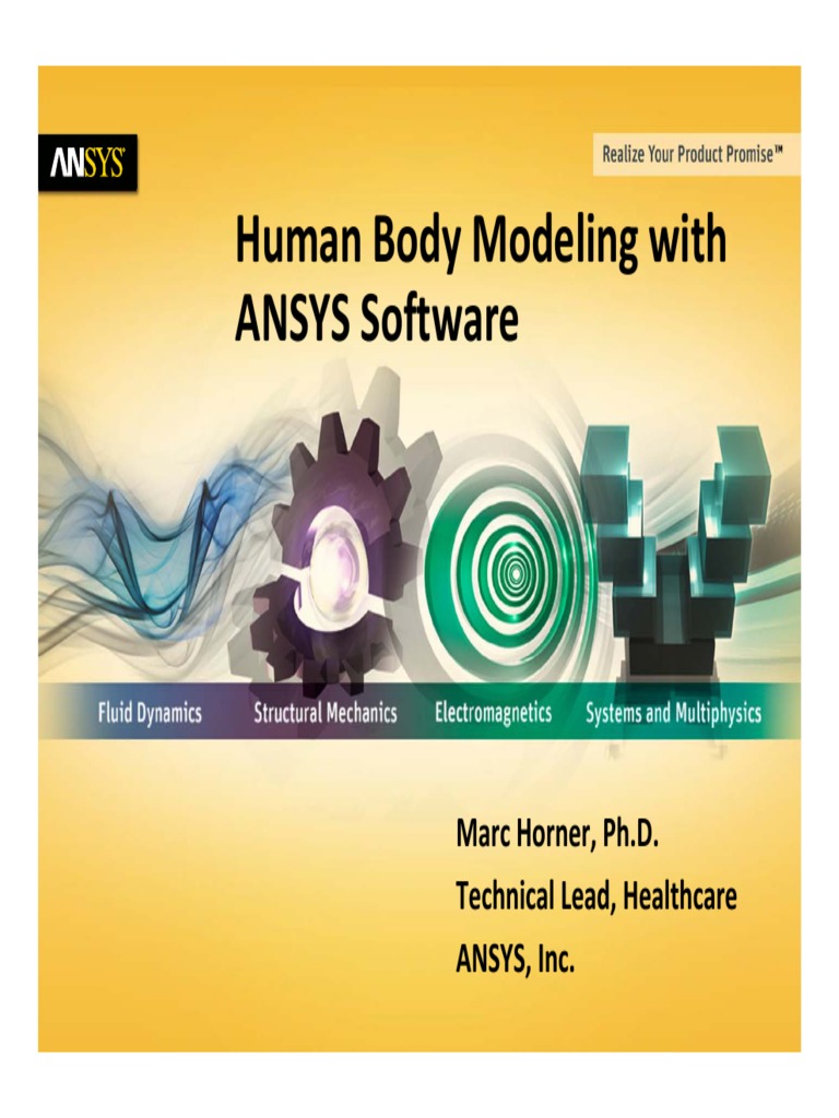 Human Body Modeling ANSYS Software PDF | PDF | Implant (Medicine ...