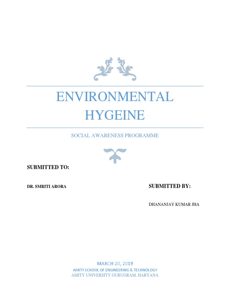 Environmental Hygeine | PDF | Sanitation | Hygiene