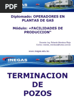 Manual de Ejemplos Pipe Sim | PDF | Ingeniería de Edificación ...