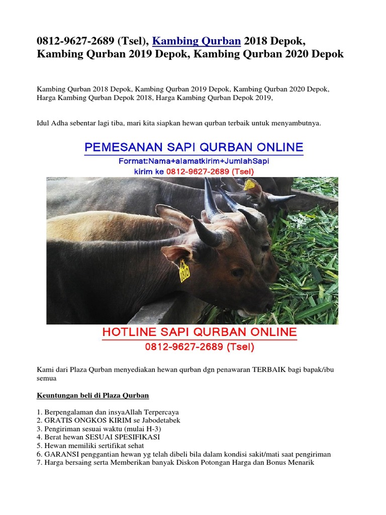 0812-9627-2689 (Tsel), Kambing Qurban 2018 Depok, Kambing Qurban 2019 Depok, Kambing Qurban 2020 ...