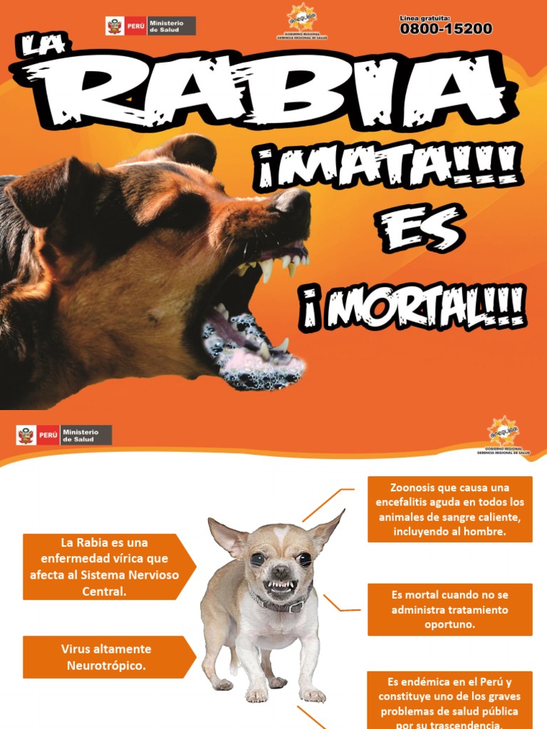 Prevención y Control de la Rabia | PDF | Rabia | Microbiología