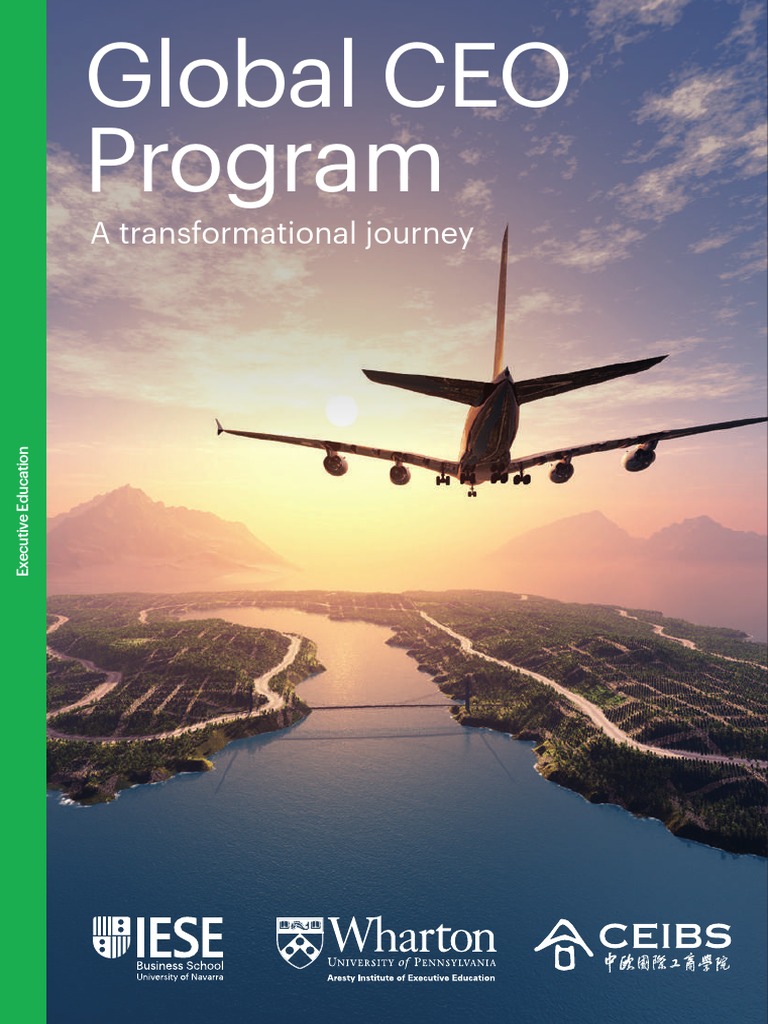 Global CEO Program for Executives | PDF | Chief Executive Officer ...
