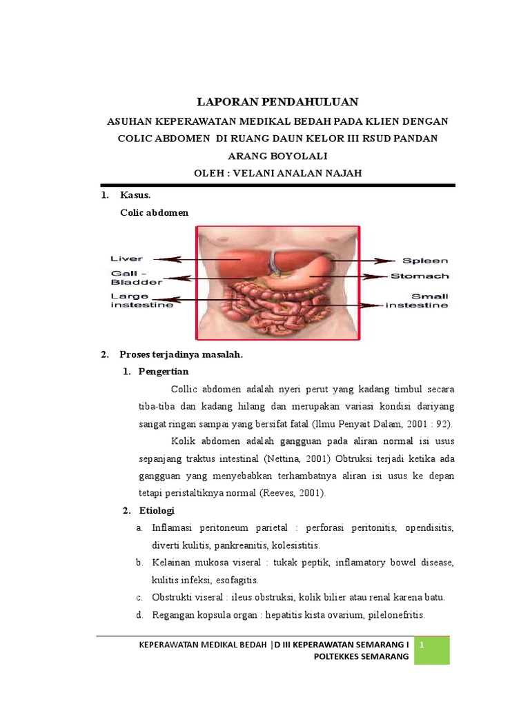 Laporan Pendahuluan Colic Abdomen | PDF