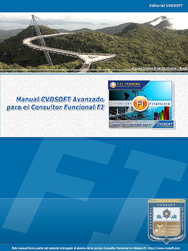 Manual CVOSOFT Avanzado para El Consultor FI | PDF