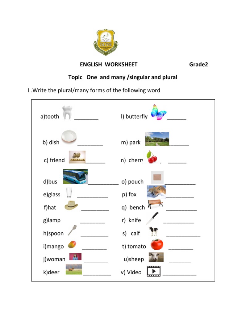 English Worksheet Grade2 Topic One and Many /singular and Plural | PDF ...