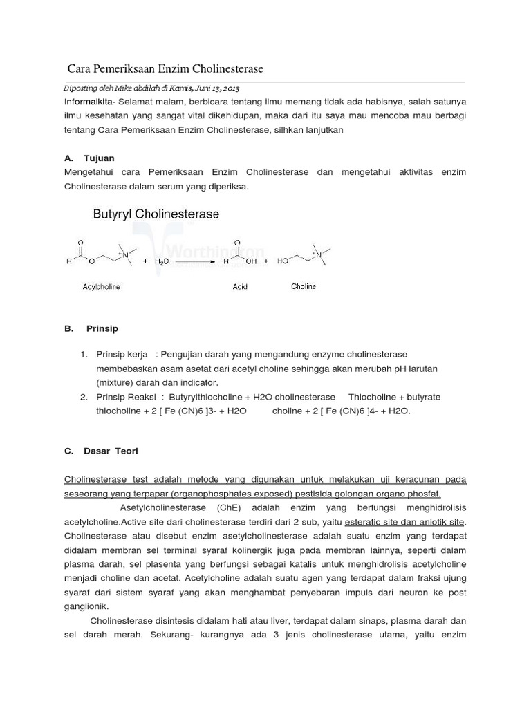 METODE PENGUKURAN AKTIVITAS ENZIM KOLINESTERASE | PDF