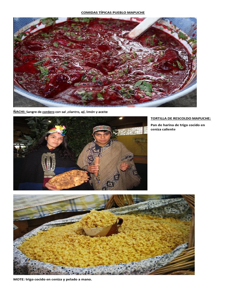 Comidas Típicas Pueblo Mapuche | PDF