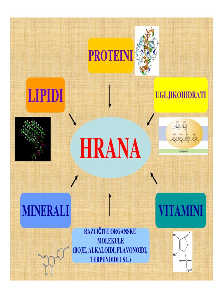 Kemija I Biokemija Hrane PDF | PDF
