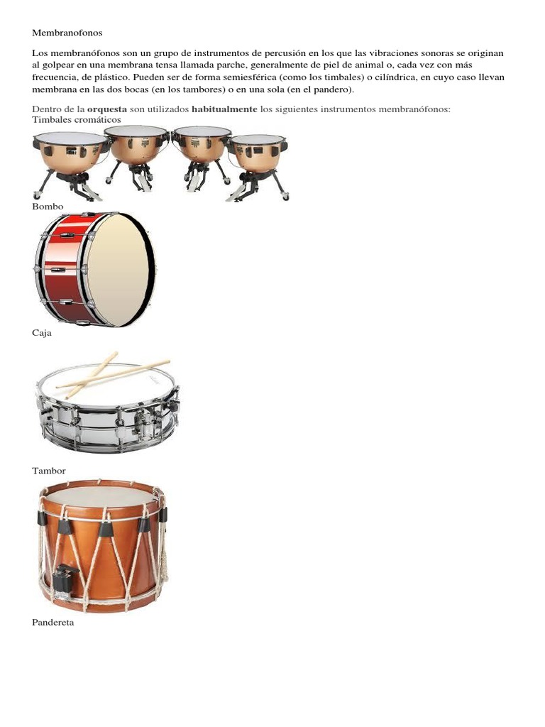 INSTRUMENTOS Membranofonos | PDF | Instrumentos musicales | Flauta