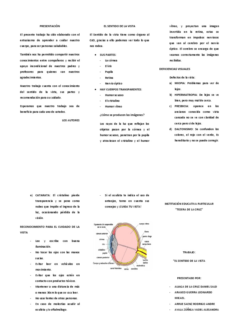 Triptico y Sus Partes | PDF | Percepción visual | Rasgos faciales