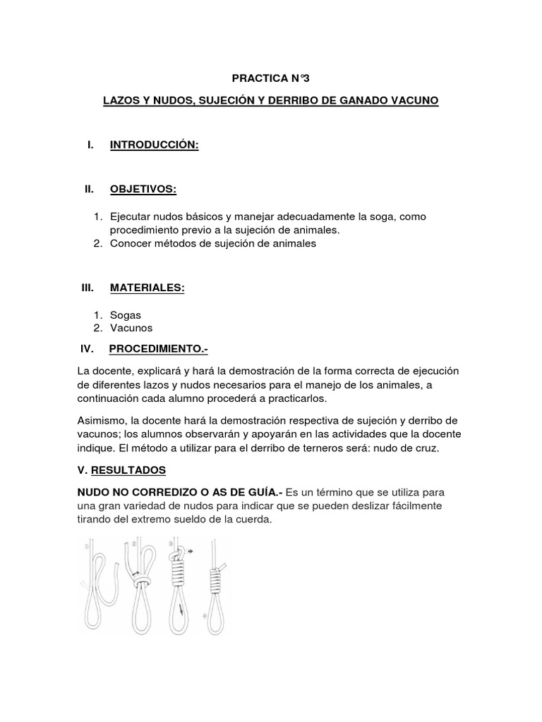 Rio Sssss Sssssssss X 2 | PDF | Nudo | Vacas