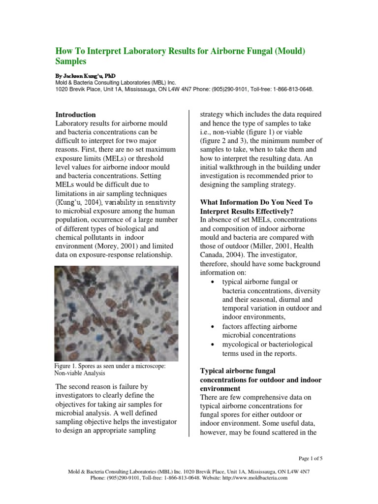 Interpreting Airborne Mold Lab Results | PDF | Mold | Fungus