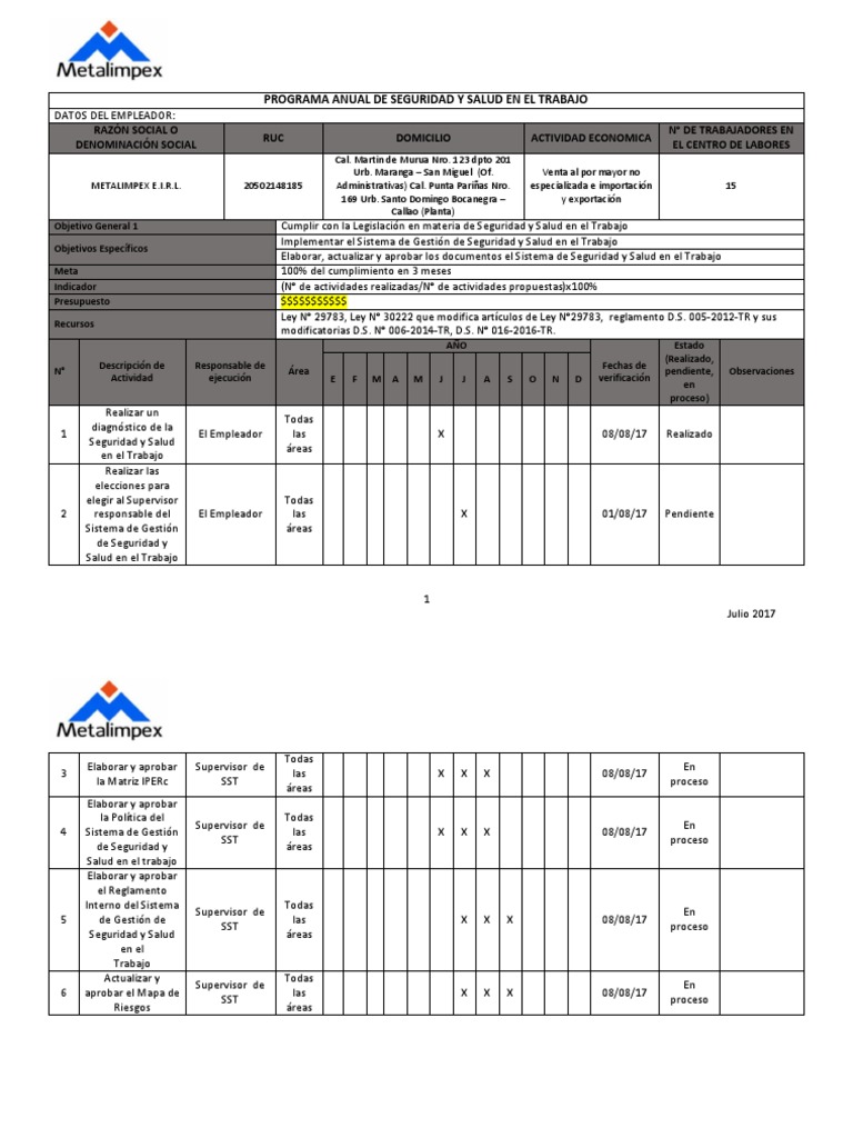 Programa Anual De Seguridad Y Salud En El Trabajo Pdf Gobierno
