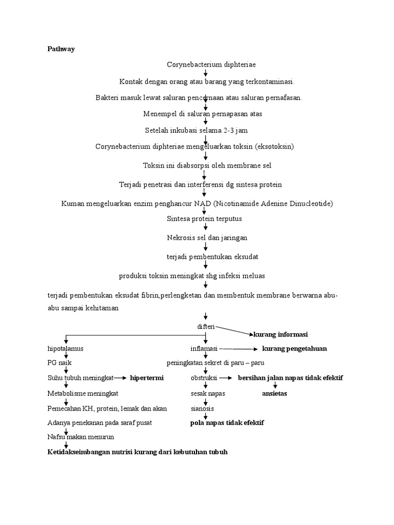 Pathway Difteri | PDF