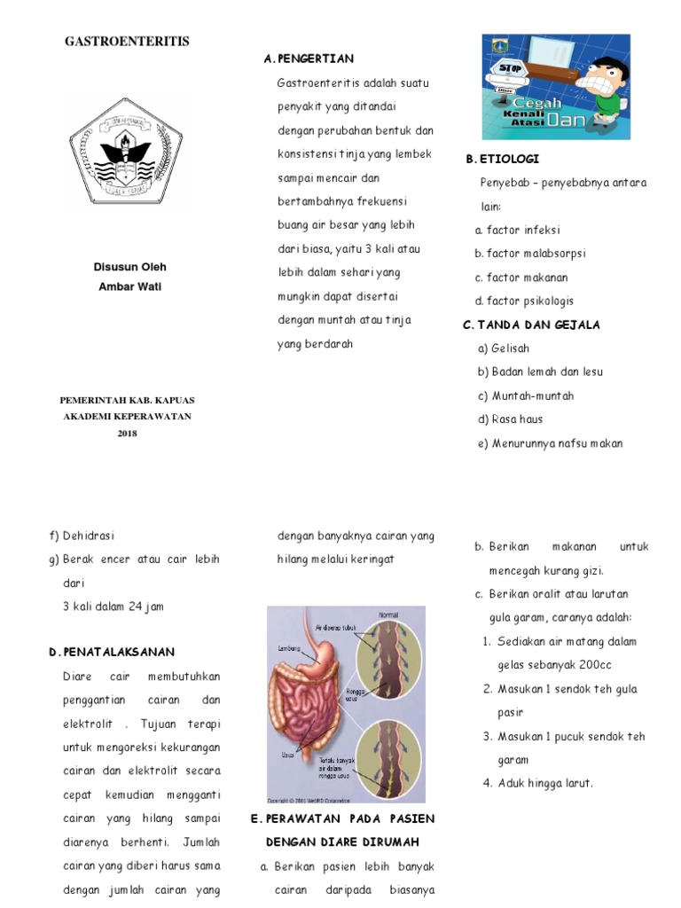 Gastroenteritis Leaflet | PDF
