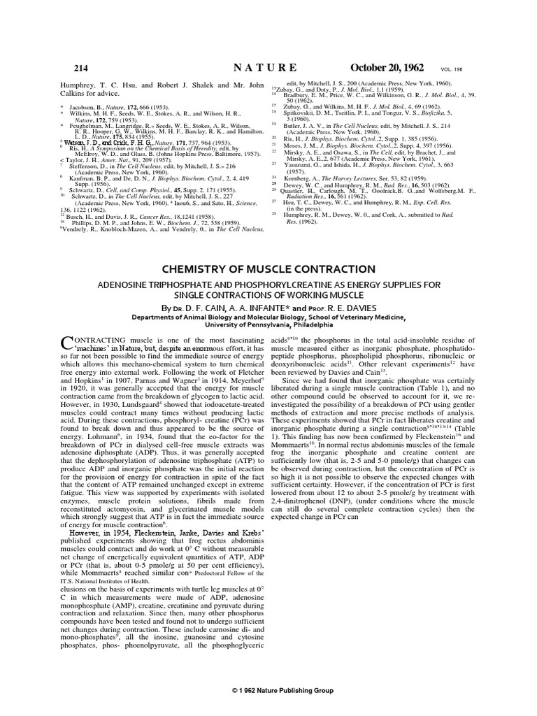 Chemistry of Muscle Contraction: Nature October 20, 1962 | PDF ...