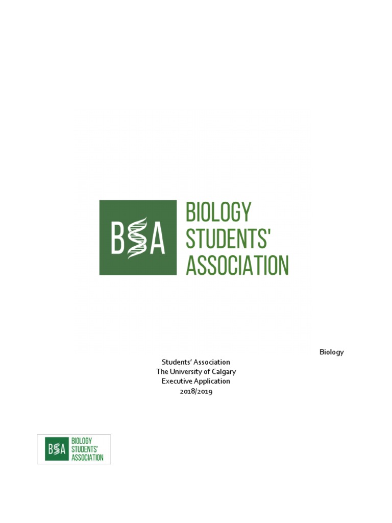 BSA Executive Application Form - VP Operations & Finance | PDF ...