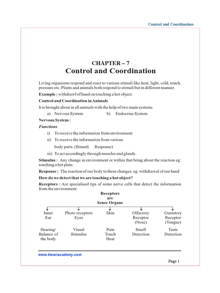Chapter-7-Control and Coordination | PDF | Stimulus (Physiology) | Nervous System