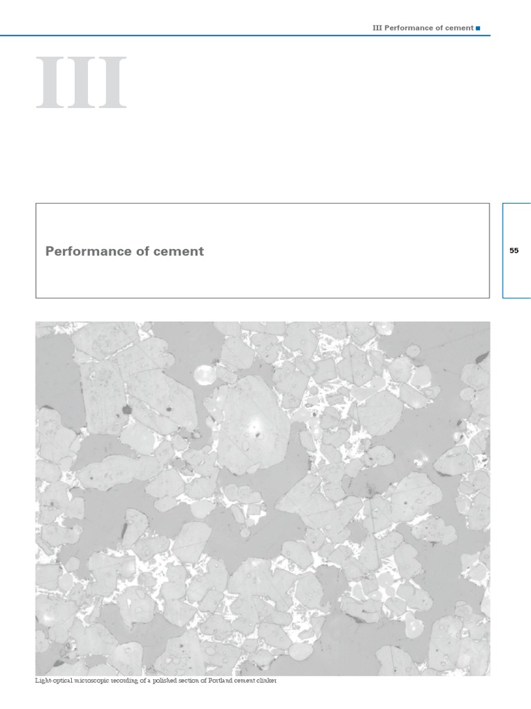 Chap 3 VDZ Activity Report 09-12 | PDF | Cement | Fly Ash