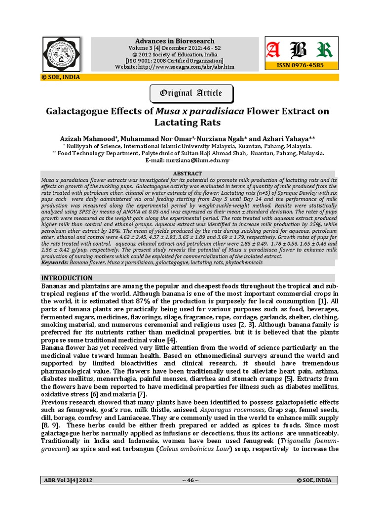 Galactagogue Effect Bananaflower | PDF | Lactation | Banana