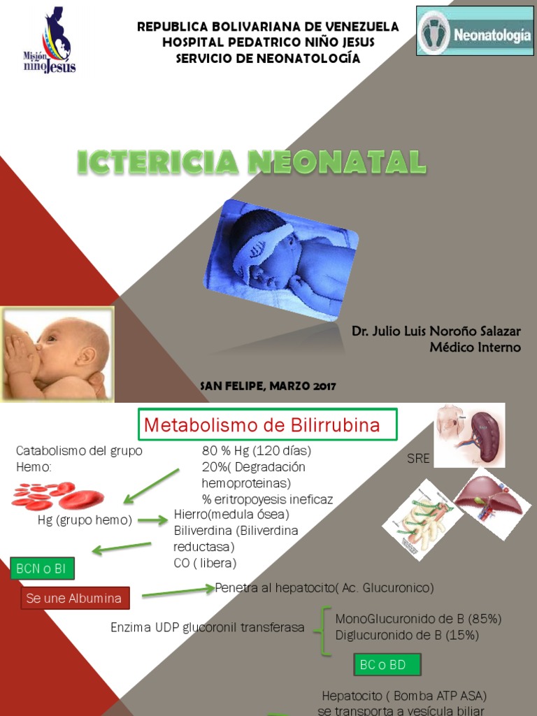 Ictericia Neonatal | PDF | Enfermedades y trastornos | Especialidades Medicas