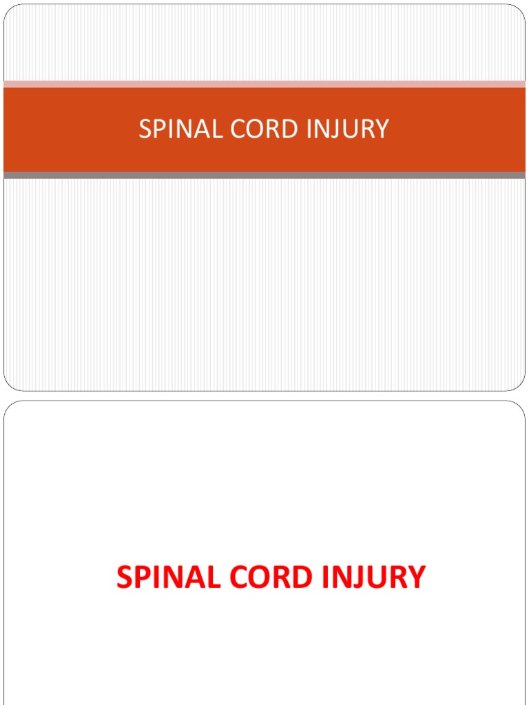 Spinal Cord Injury | PDF | Spinal Cord | Spinal Cord Injury