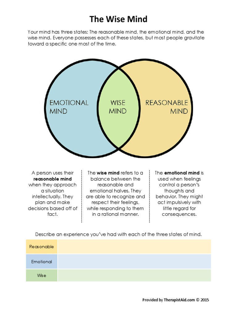 Achieve Wise Mind Balance Between Reason and Emotion | PDF