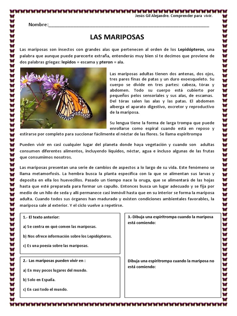 Informativo La Mariposa | Lepidóptera | Zoología
