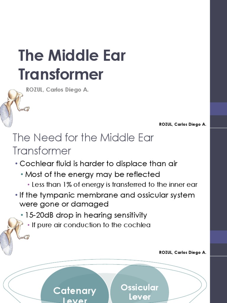 The Middle Ear Transformer | PDF | Ear | Auditory System