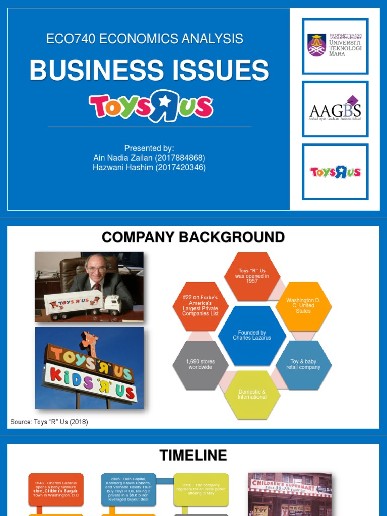 Economics Analysis: Toys "R" Us | PDF | Demand | Microeconomics