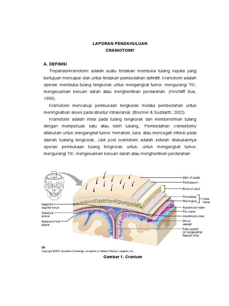 LP Kraniotomi Dewi | PDF