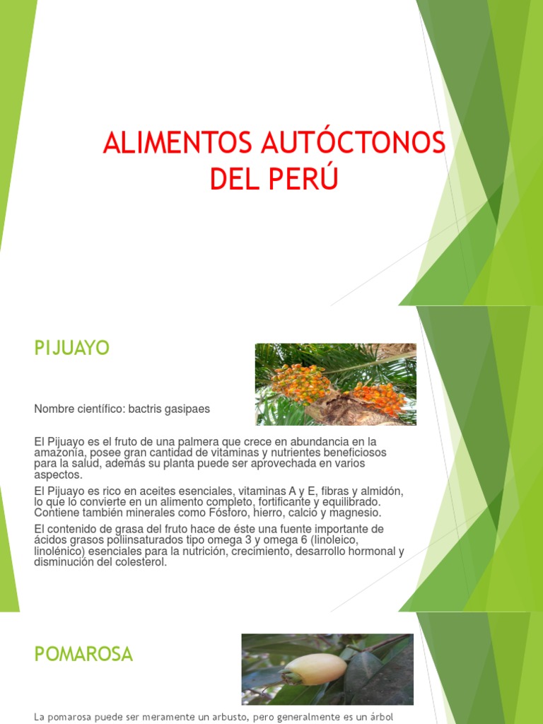 Alimentos Autóctonos Del Perú | PDF
