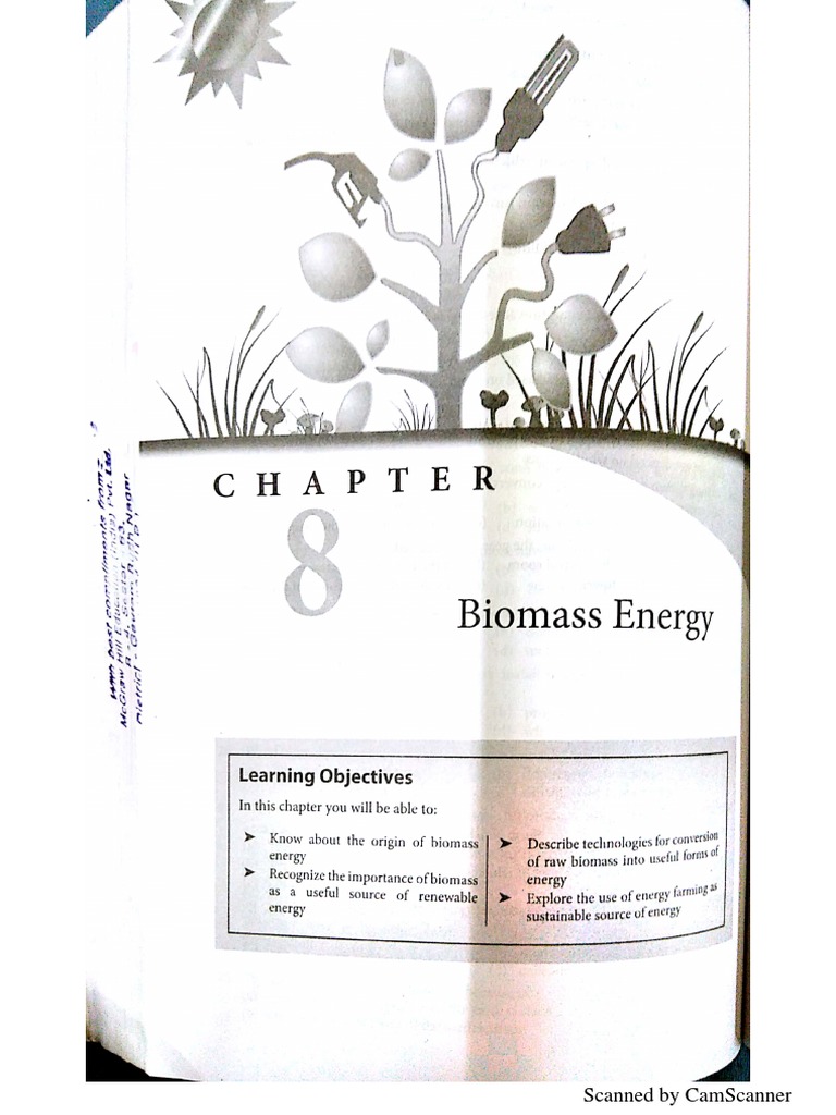 Biomass Energy | PDF