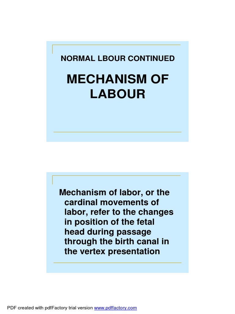 The Stages of Labor: A Comprehensive Guide to the Mechanism and Phases ...